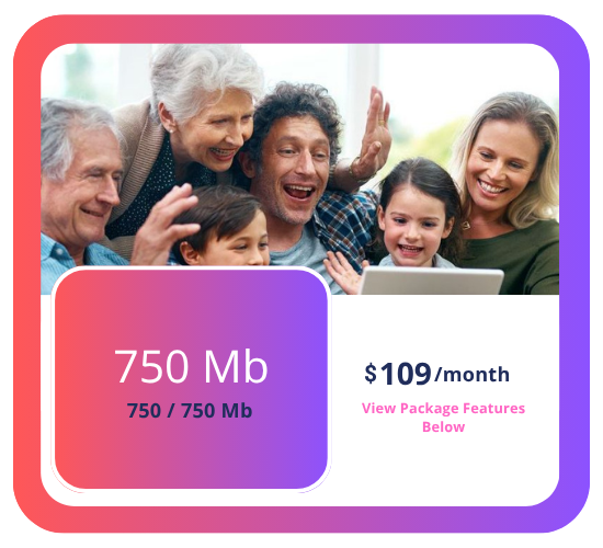 Gadget Go-Getters - TNICS